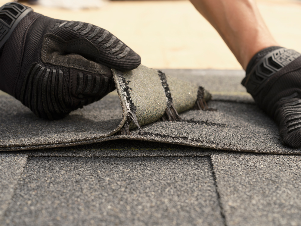 Why Malarkey - Malarkey Roofing Products